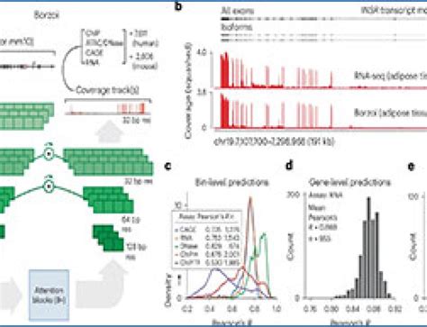Scode An Efficient Regulatory Network Inference Algorithm From Single