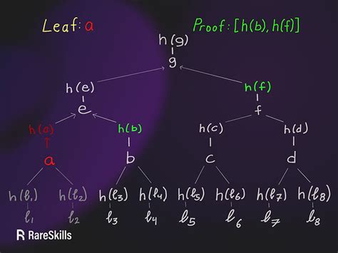 The Second Preimage Attack For Merkle Trees In Solidity By Rareskills