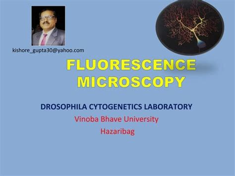 Chapter 6 Fluorescence Microscopy Ppt