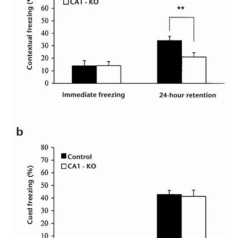 Fear Conditioning Tasksa Contextual Fear Conditioning Memory Is Download Scientific Diagram