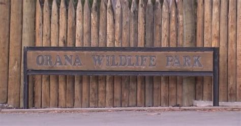 Anonymous Informant Raises Concern About Orana Wildlife Park Rnewzealand