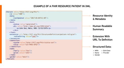 hl7 fhir data model a deep dive explanation