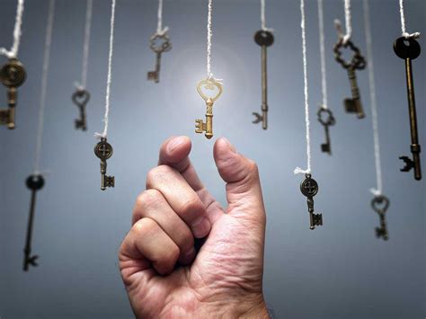 Why Mesh Fencing Is The Security Fencing Of Choice Blog Zaun Ltd