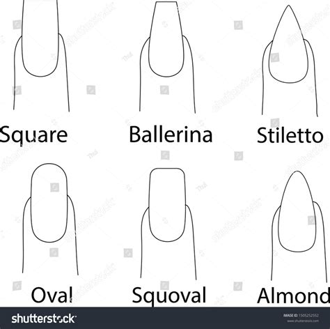 Different Types Fingernails Cuts Vector Illustration 库存矢量图免版税1505252552 Shutterstock