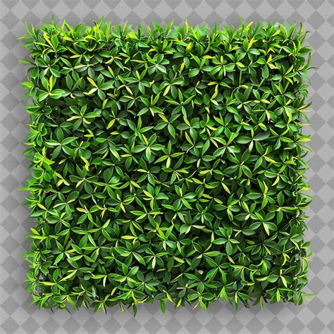 Centipede Grass With Rainbow Hued Mosaic Tiles Boasting Appl Isolated