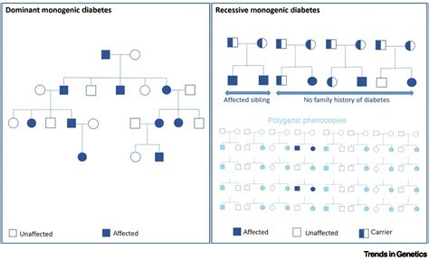 Multifactorial Inheritance Pedigree