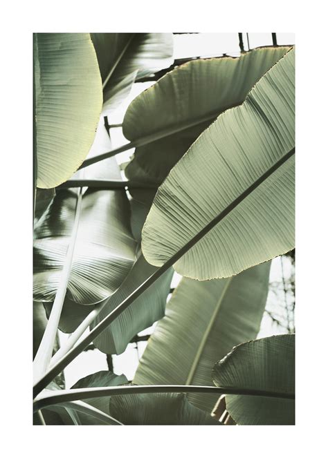 오크 프레임 내추럴 인테리어 갤러리월 Poster Store Kr