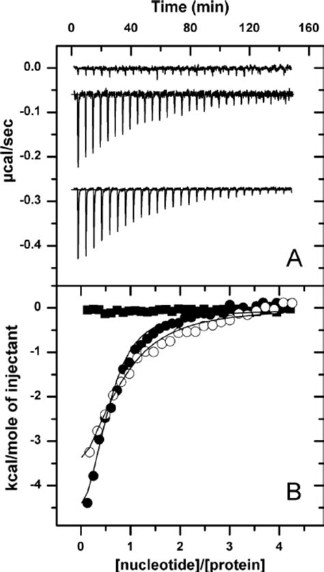 Binding Of Fluorescent Nucleotide Analogs To Different Clpb Variants A Download Scientific