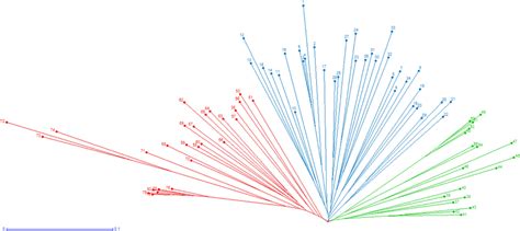 a neighbour joining clustering of the 80 genotypes from 12 caper