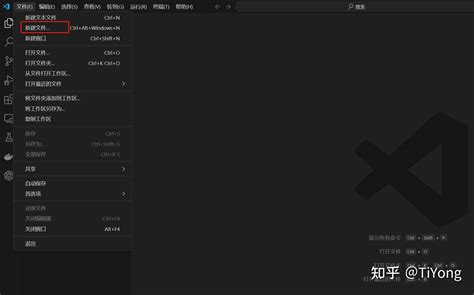 Vscode安装教程（版本：1870）windows10 知乎