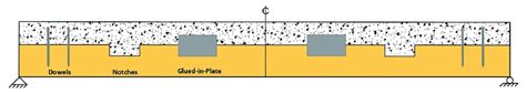 Longitudinal Section Of A Tcc System With Dowel Notched Or