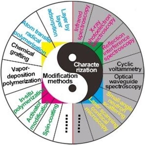 Recent Advances In The Modification And Characterization Of Solid‐state Nanopores Lu 2022