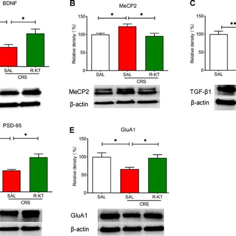 Prophylactic Effects Of R Ketamine On The Expressions Of Proteins