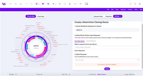 Restriction Enzyme Cloning