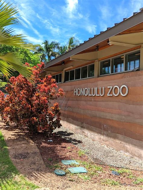 20 Best Things To Do In Hawaii 🇺🇸 Attractions In Honolulu