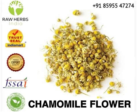 Chamomile Flower At ₹ 550kg Chamomile Flower In New Delhi Id 2850473580648