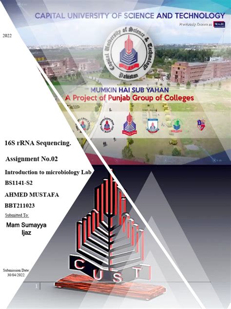 16s Rna Pdf 16 S Ribosomal Rna Ribosomal Rna