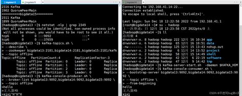Kafka详解：分布式流处理平台的部署与实战 Csdn博客
