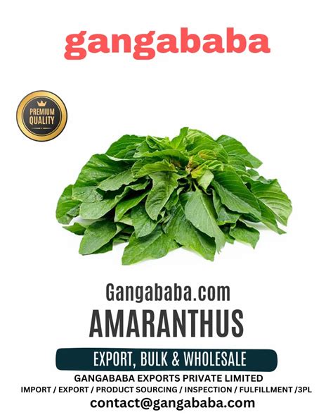 Amaranthus At Best Price In Panagudi By Gangababa Exports Private
