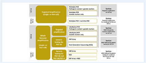 Overview Of The Testing Strategies That Can Be Applied For Pgt M Download Scientific Diagram Overview Of The Testing Strategies That Can Be Applied For Pgt M Download Scientific Diagram