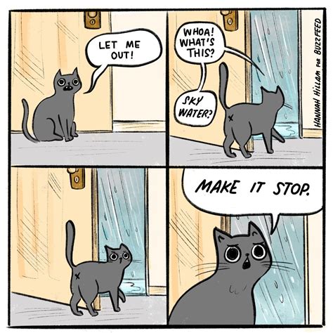 52 Memes That Will Make You Wonder Why You Ever Got A Cat Funny