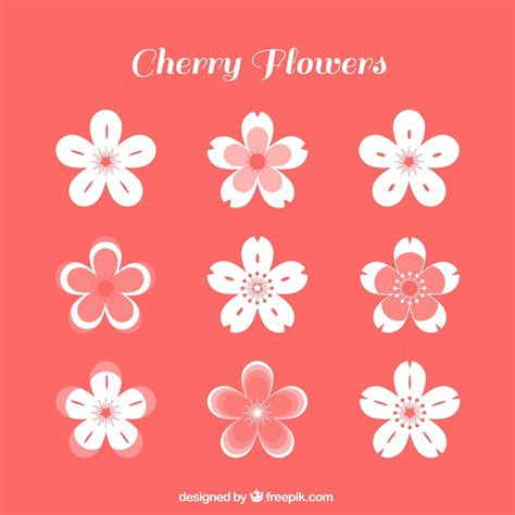 벚꽃 일러스트 벡터 Freepik에서 무료 고품질 벡터를 다운로드하세요 Freepik
