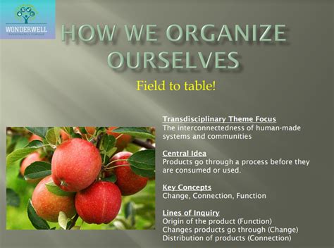 Ib Pyp How We Organize Ourselves Field To Table Made By Teachers