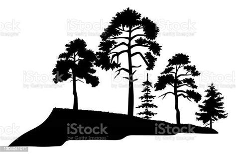 흰색 배경에 나뭇잎이 있는 나무의 실루엣 등산에 키가 큰 나무 두꺼운 트렁크 0명에 대한 스톡 벡터 아트 및 기타 이미지 0명 가문비나무 겨울 Istock