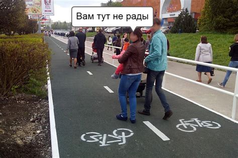 Велосипедисты | Пикабу