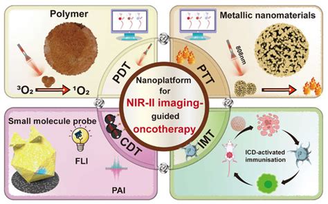 Multifunctional Nanoplatform For Nir Ii Imaging Guided Synergistic Oncotherapy