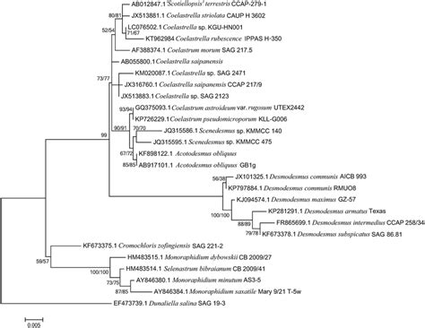 Phylogenetic Tree For Selected Microalgae From The Order Sphaeropleales