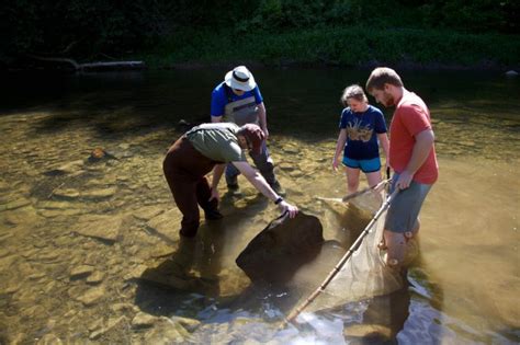 Free Picture Sampling River Water