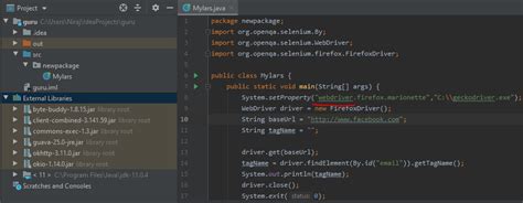 I Am Getting Webdriver Error In Intellij Ide While Using Selenium