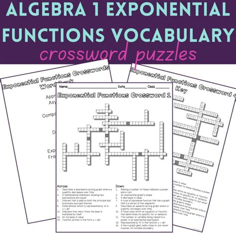 Algebra 1 Exponential Functions Vocabulary Crosswords 8th 9th 10th