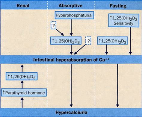 Does Hyperphosphaturla Underlle Hypercalciuria The Lancet