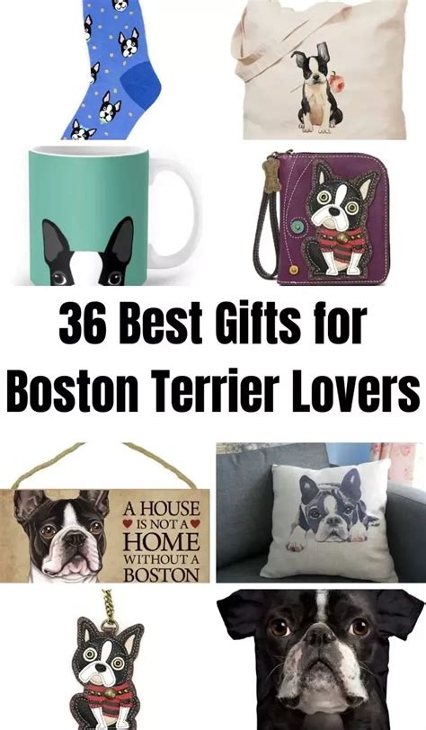 36 Best Ts For Boston Terrier Lovers Boston Terrier Lover Boston
