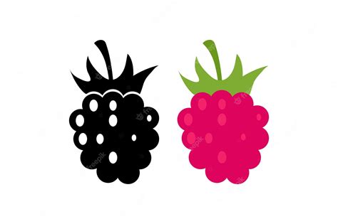 Premium Vector Raspberry Icon Berry Illustration Symbol Sign Food
