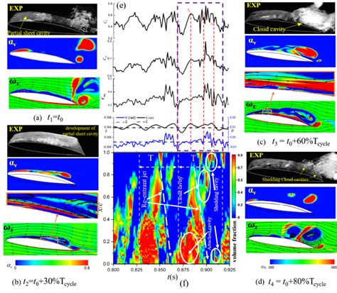Evolution Of Cloud Cavitation Patterns Vorticity Contours Predicted