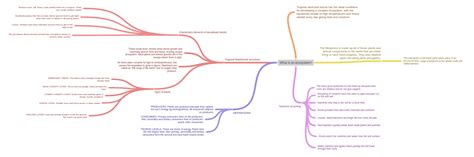 What Is An Ecosystem Coggle Diagram