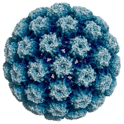 Bd Received Fda Approval For Hpv Test With Extended Genotyping Capabilities