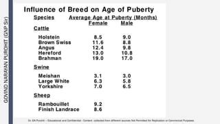 Andrology Lecture Puberty And Sex Maturity PDF