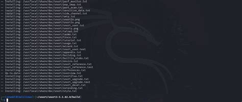 Install Snort3 On Kali Linux Guide