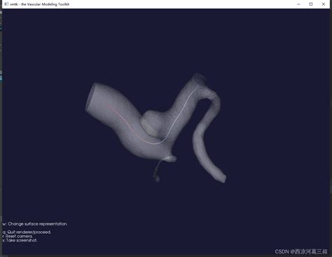 Python And Vmtk 提取血管中心线python Vmtk 血管中心线 Csdn博客