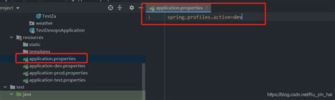 spring profiles active profile 使用步骤 spring active profile csdn博客