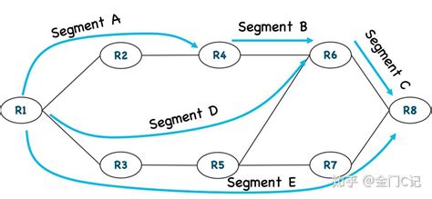 segment routing 101 知乎