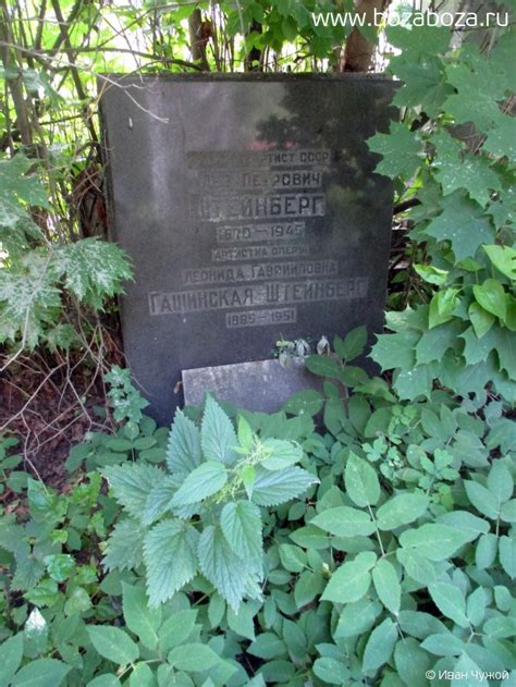 Дирижёр Штейнберг Лев Петрович 1870-1945 гг