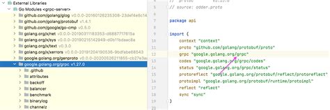 Build Constraints Exclude All The Go Files In Ides Support