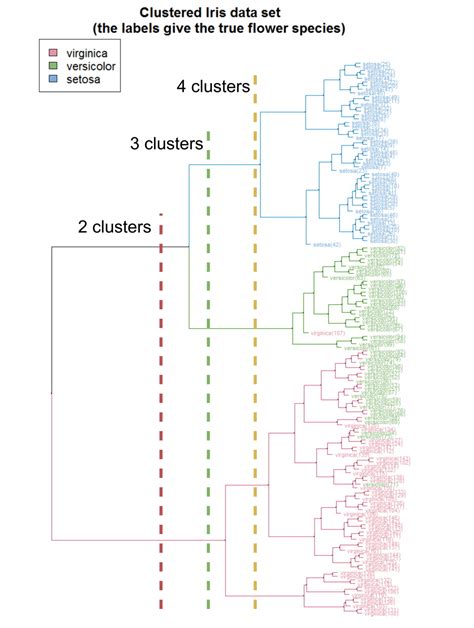 Clustering Cheat Sheet Towards Data Science