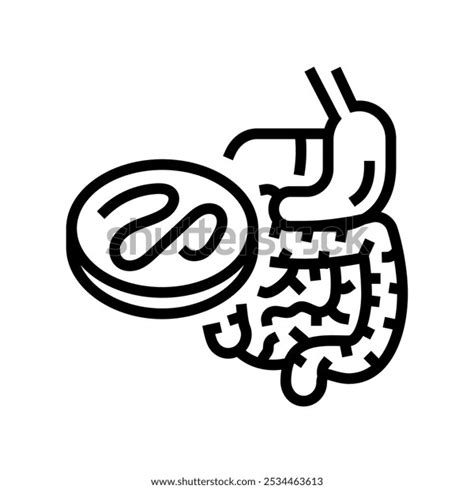 84 個「nematodes Digestive System」相關素材，包含圖片、庫存照片、3d 物體和向量圖 Shutterstock