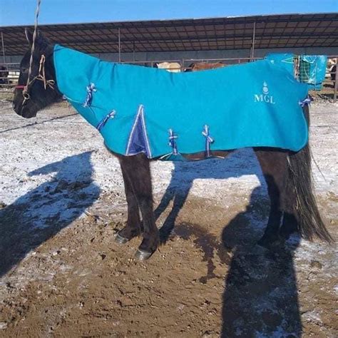 Хурдан морины нэмнээ хүүхдийн комбинзон хушуувч бөөний худалдаа